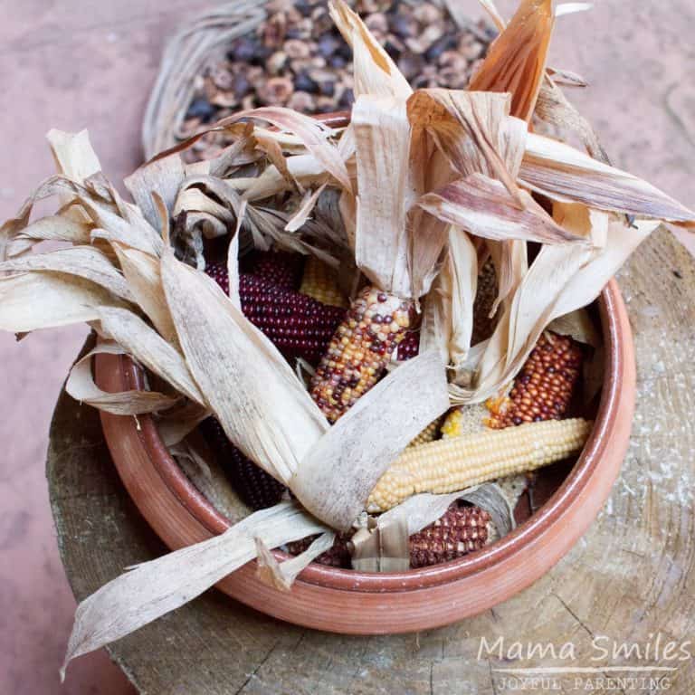 Learning Florida History: The Apalachee and Spanish at San Luis Mission