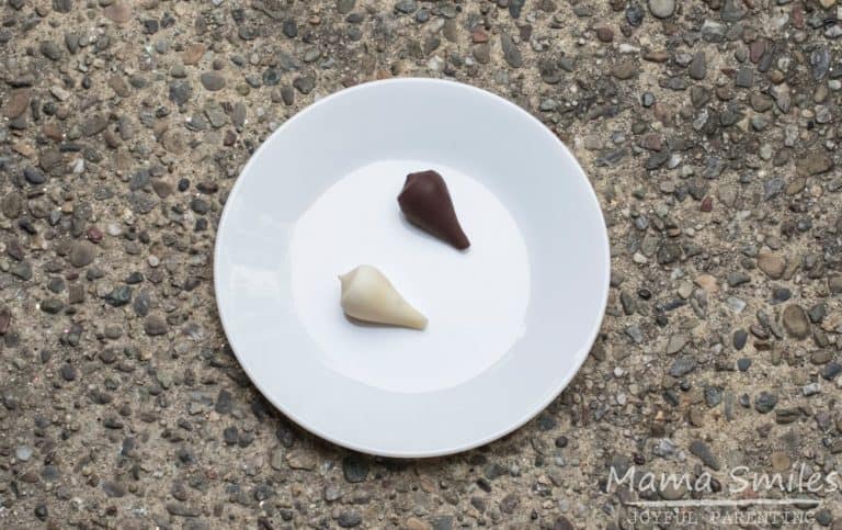 How to Make DIY Sea Shell Molds for Homemade Chocolate Sea Shells