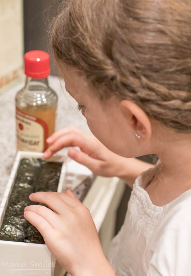 How to Make Sushi Easily at Home with Kids - Tools that Make it Easy