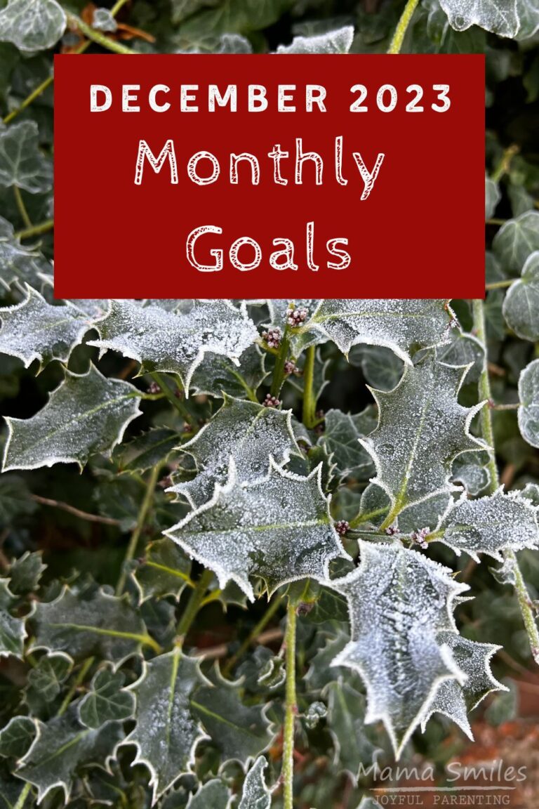 Setting Monthly Goals for December 2023