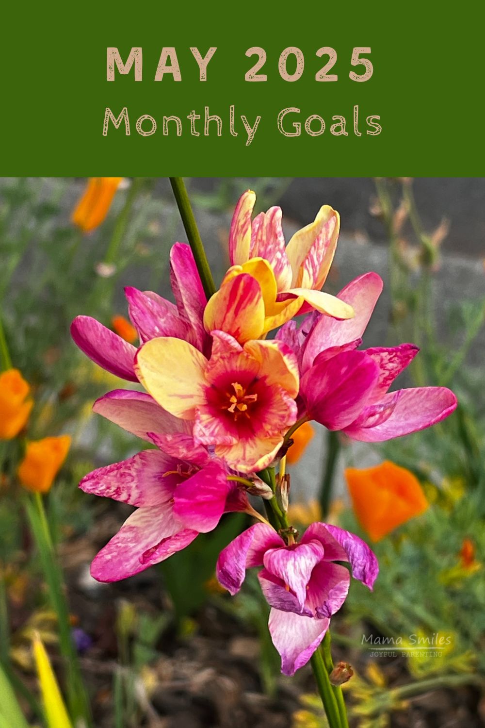 Setting Monthly Goals for May 2025 - Mama Smiles - Joyful Parenting