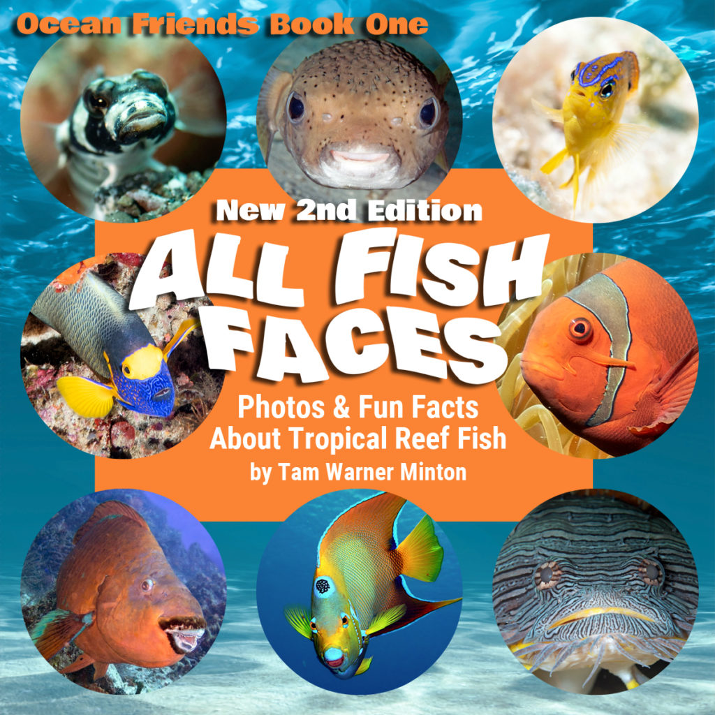 Discover Ocean Fish - Mama Smiles - Joyful Parenting