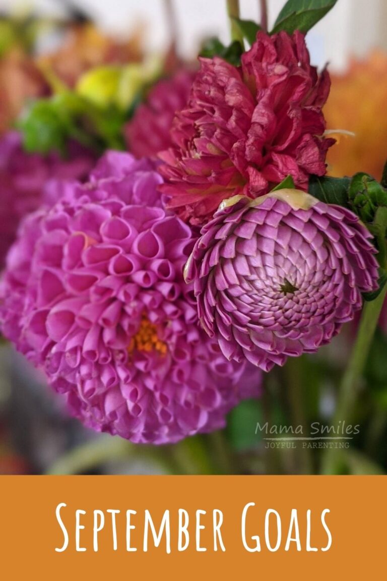 September 2020 Monthly Goals - Mama Smiles - Joyful Parenting